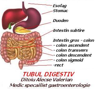 Hepatita cronica diagnostic tratament | 0758751841 Cabinet privat de ...